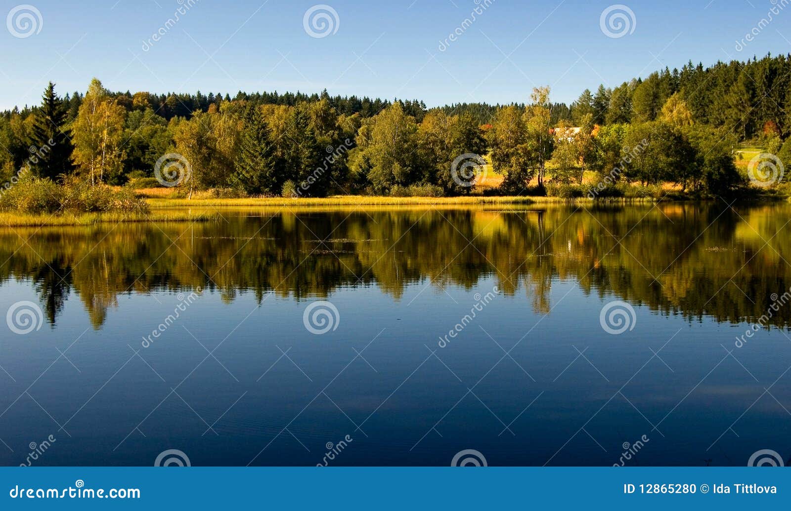 Lake with reflection stock photo. Image of forest, grass - 12865280