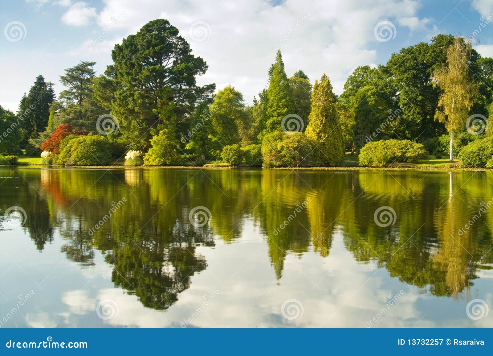 Lake with reflection stock image. Image of ripple, autumn - 13732257