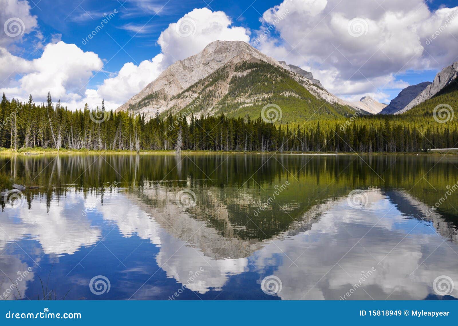 Lake Reflection stock image. Image of weekend, summer - 15818949