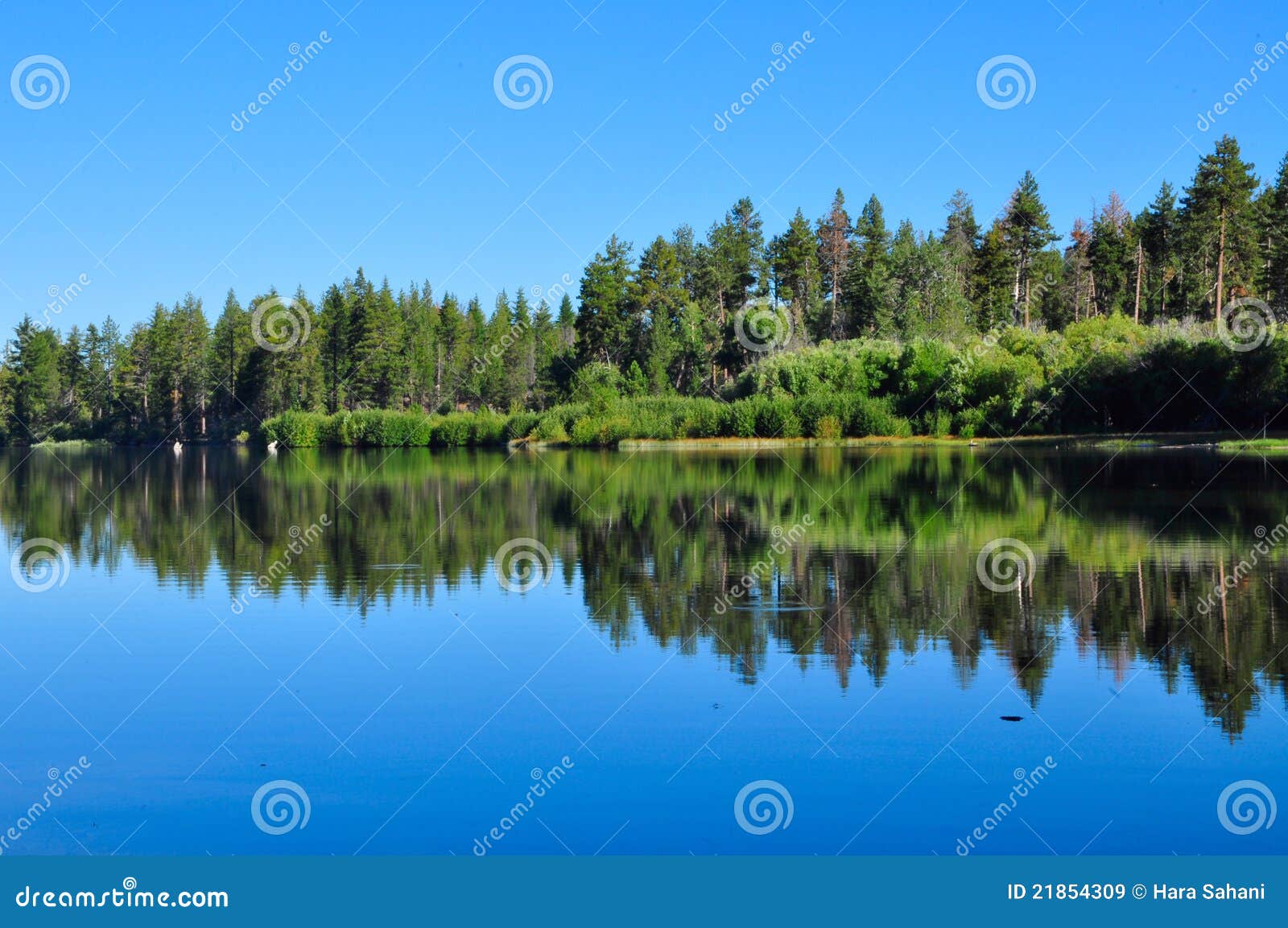 Lake reflection stock image. Image of outdoor, natural - 21854309