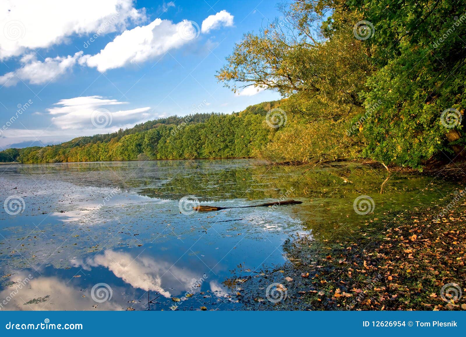 Lake with Reflection in Autumn Stock Photo - Image of golden, outdoors ...