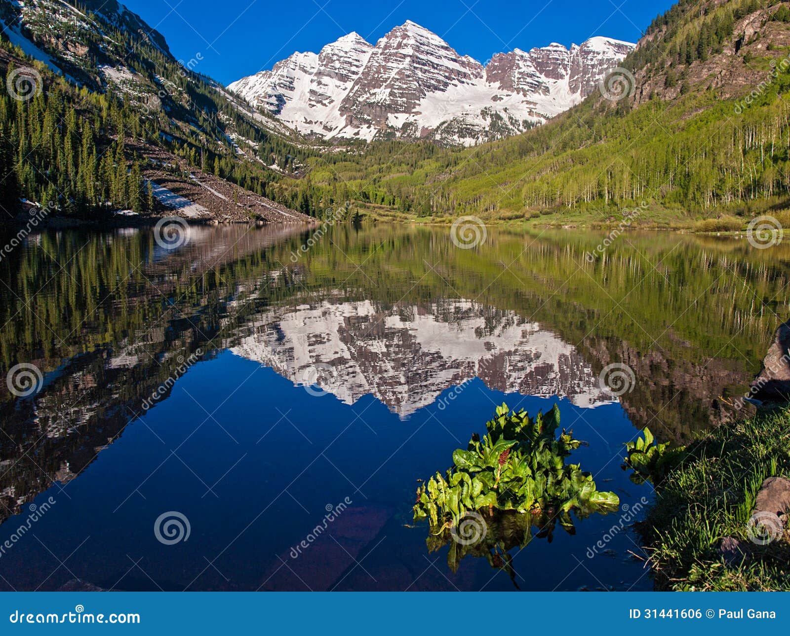 Lake Reflection of the Maroon Bells Near Aspen, Colorado Stock Photo ...