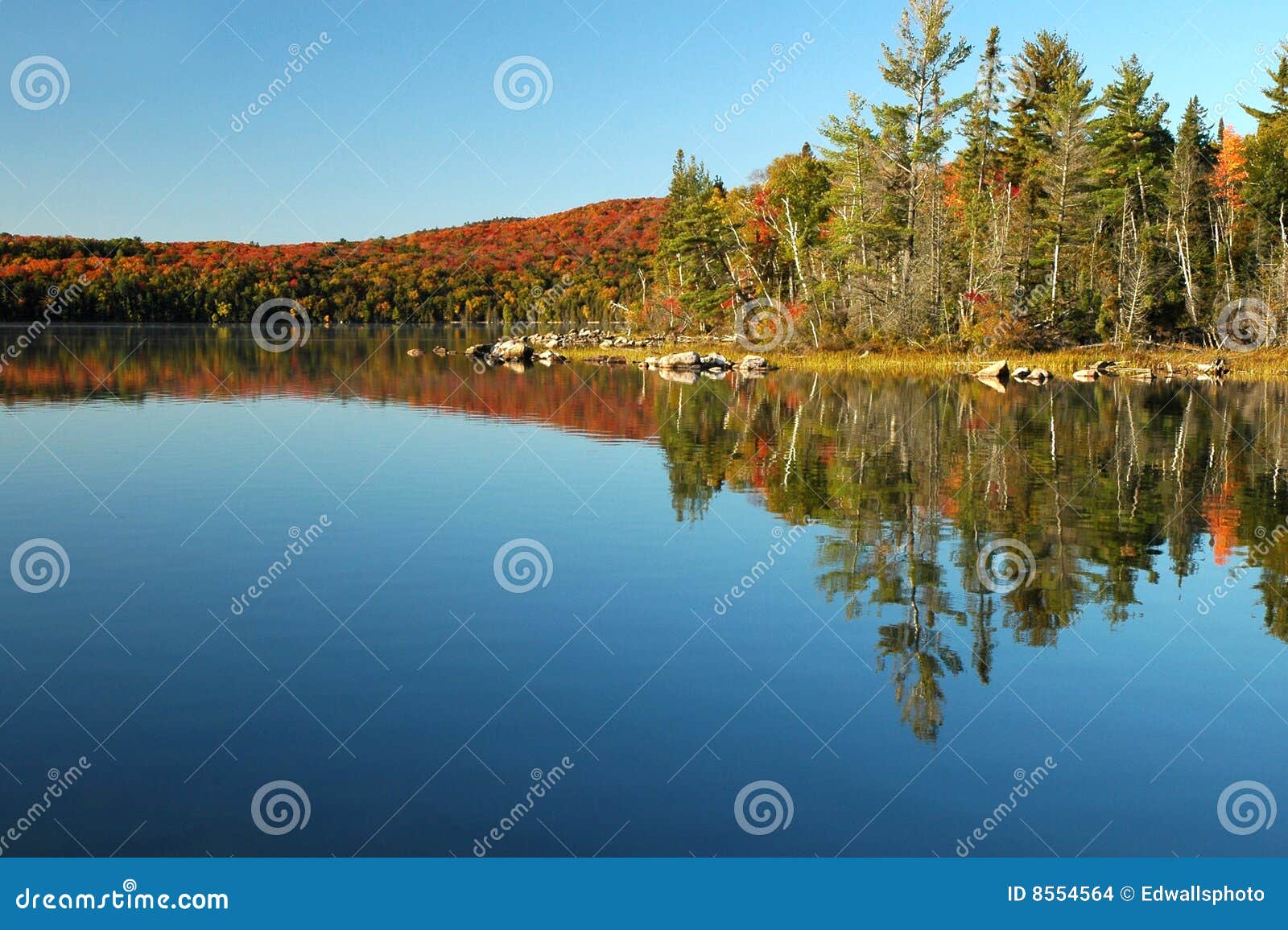 Lake Reflection Scene in the Fall Stock Photo - Image of reflection ...
