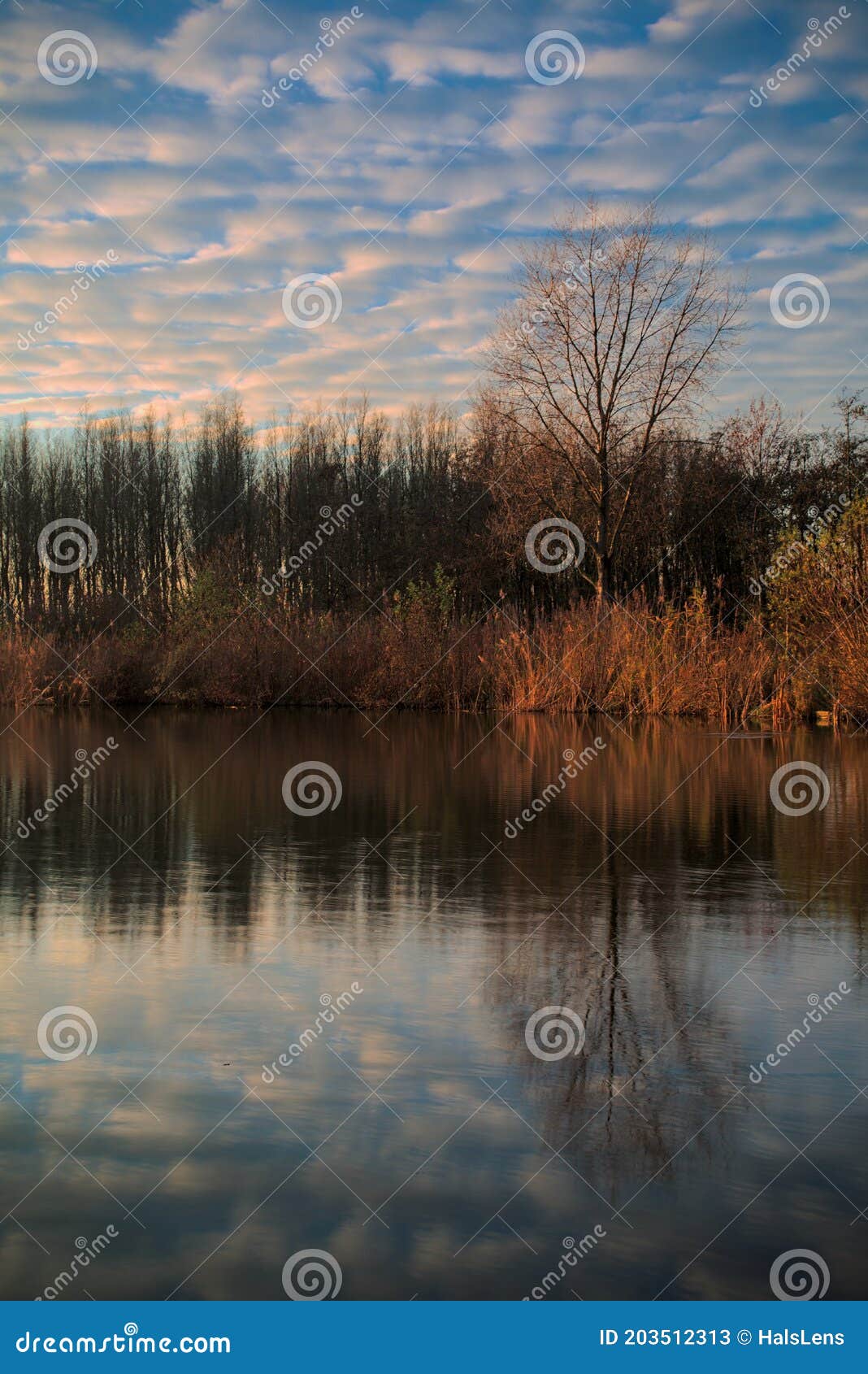 Lake reflection and skies stock image. Image of dawn - 203512313