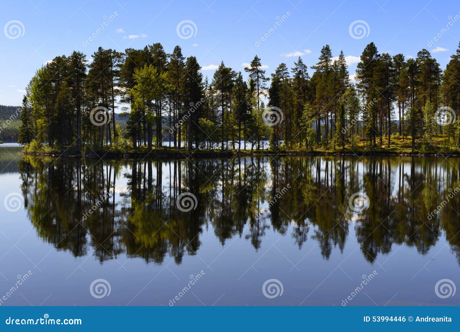 Lake with reflection stock photo. Image of exercise, clear - 53994446