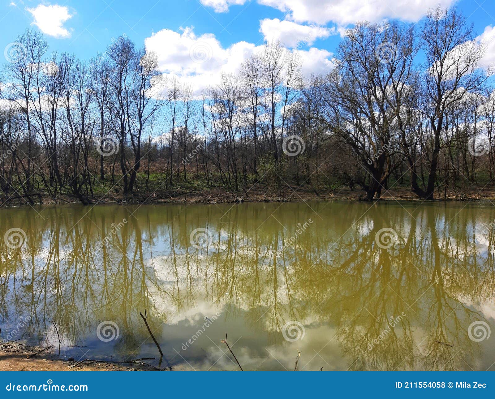 Lake reflection and tree stock photo. Image of lake - 211554058
