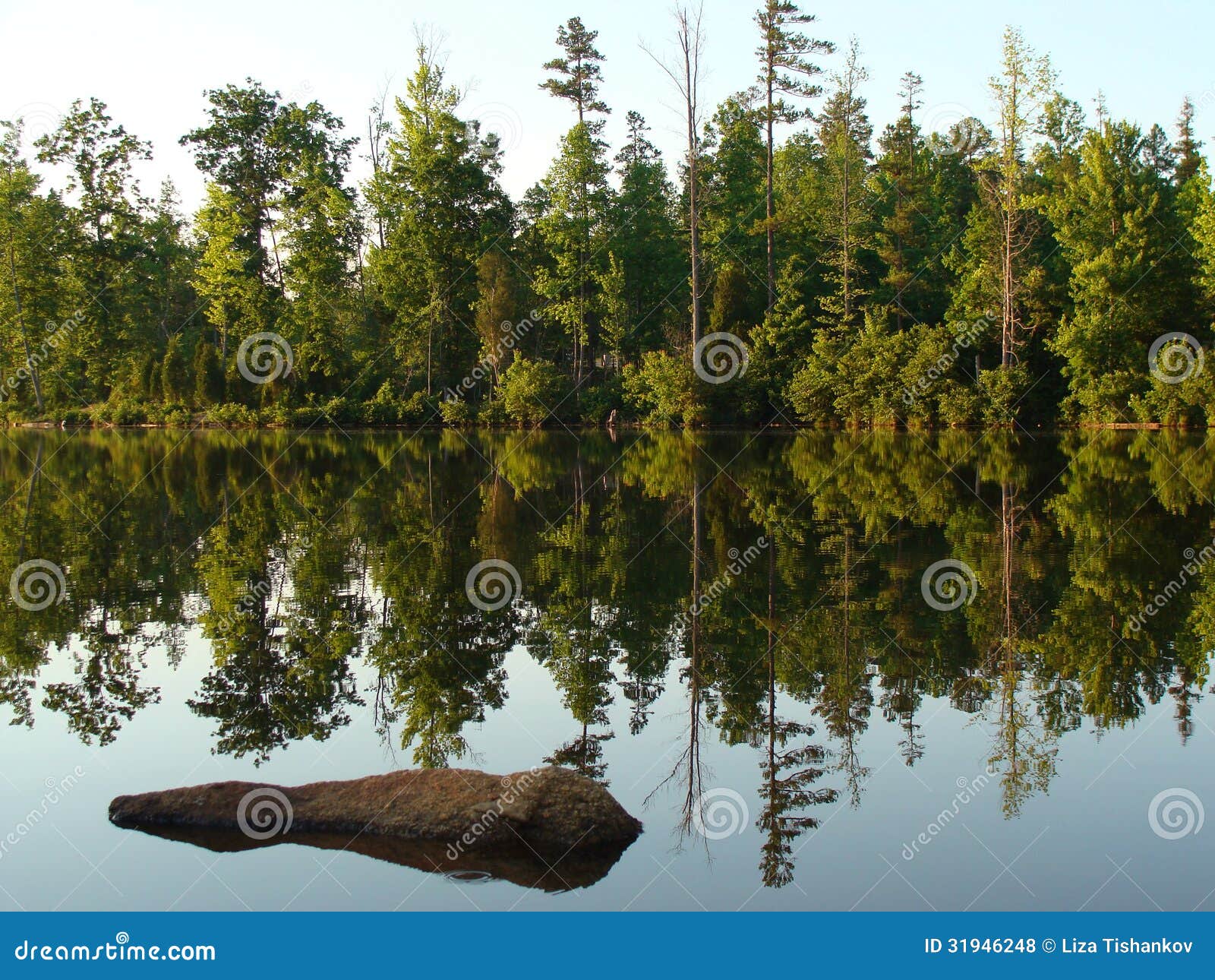 Lake reflection stock photo. Image of floating, abstract - 31946248