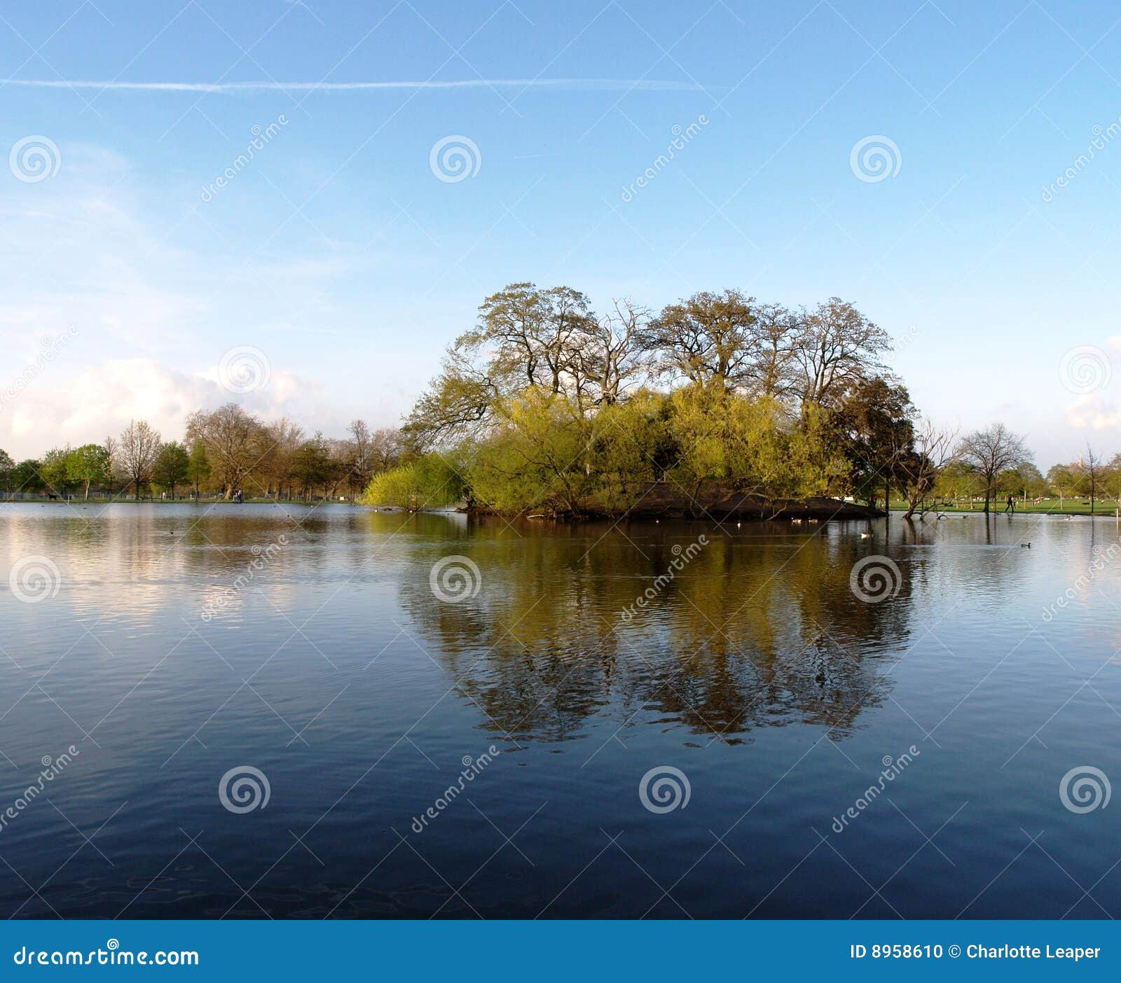Lake Reflections stock photo. Image of beautiful, park - 8958610