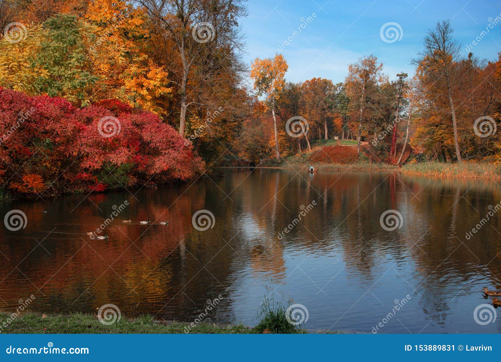 Lake Reflections of Fall Foliage Stock Image - Image of river ...