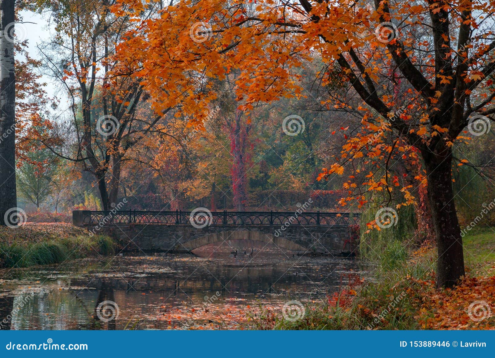 Lake Reflections of Fall Foliage and Ancient Bridge Stock Photo - Image ...