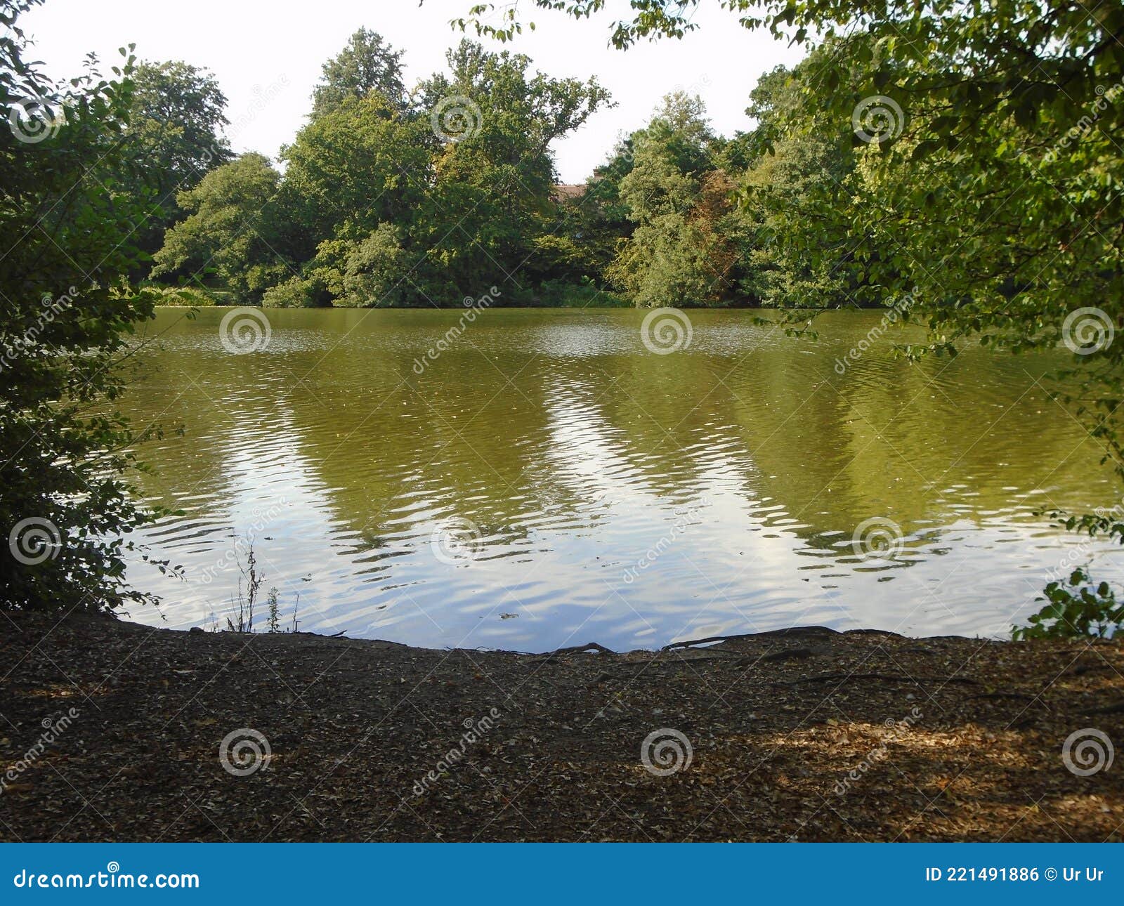 A Lake with Reflections of Trees Stock Photo - Image of green, river ...