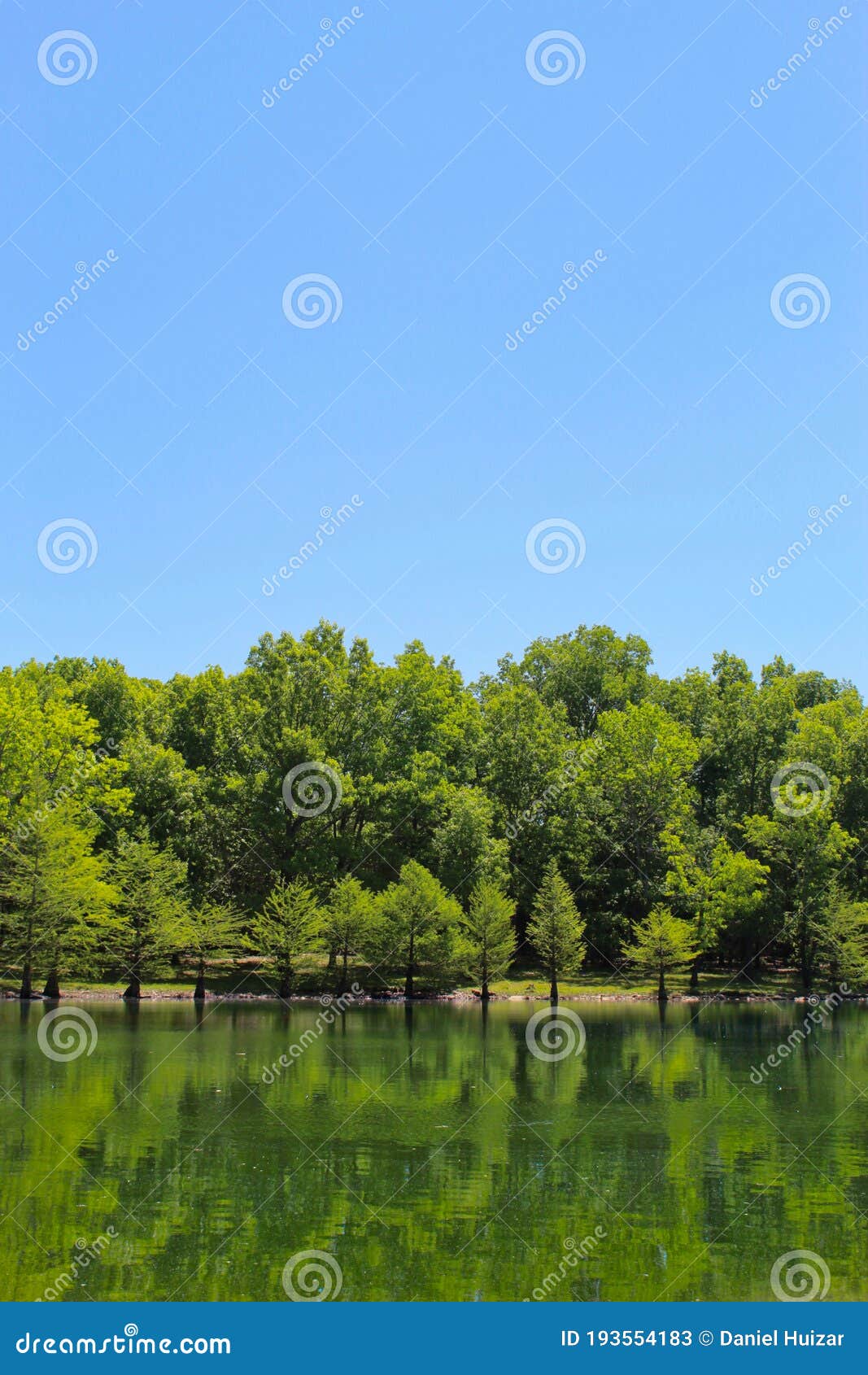 Lake reflects treeline stock image. Image of nature - 193554183