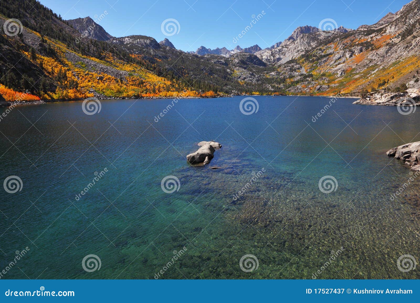The lake rich with fish. stock image. Image of tree, scene - 17527437