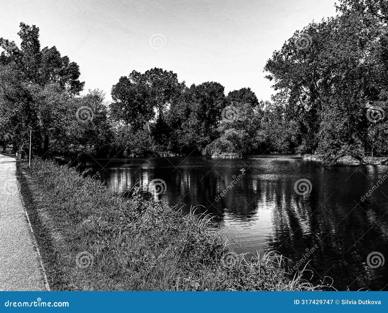 Lake with River in Black and White Stock Image - Image of branch ...