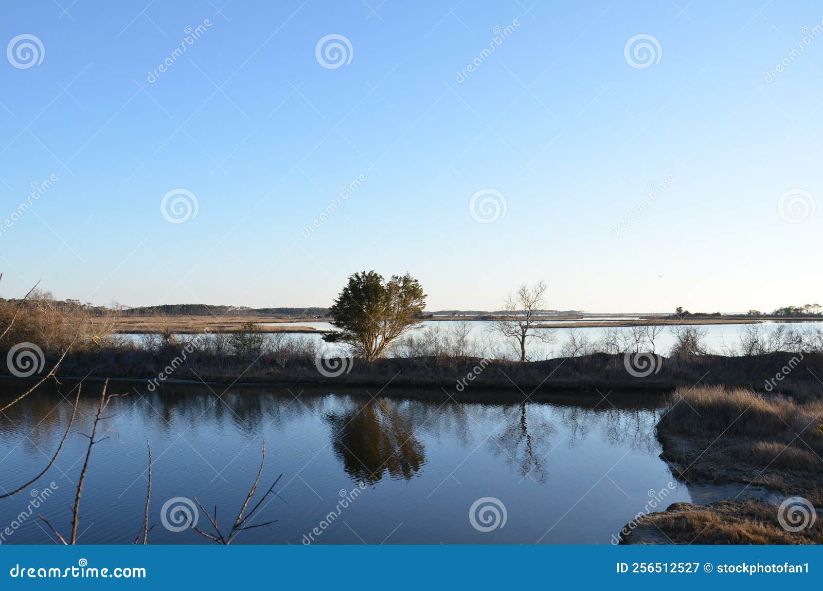 A Lake or River with Brown Grasses and Shore Stock Image - Image of ...