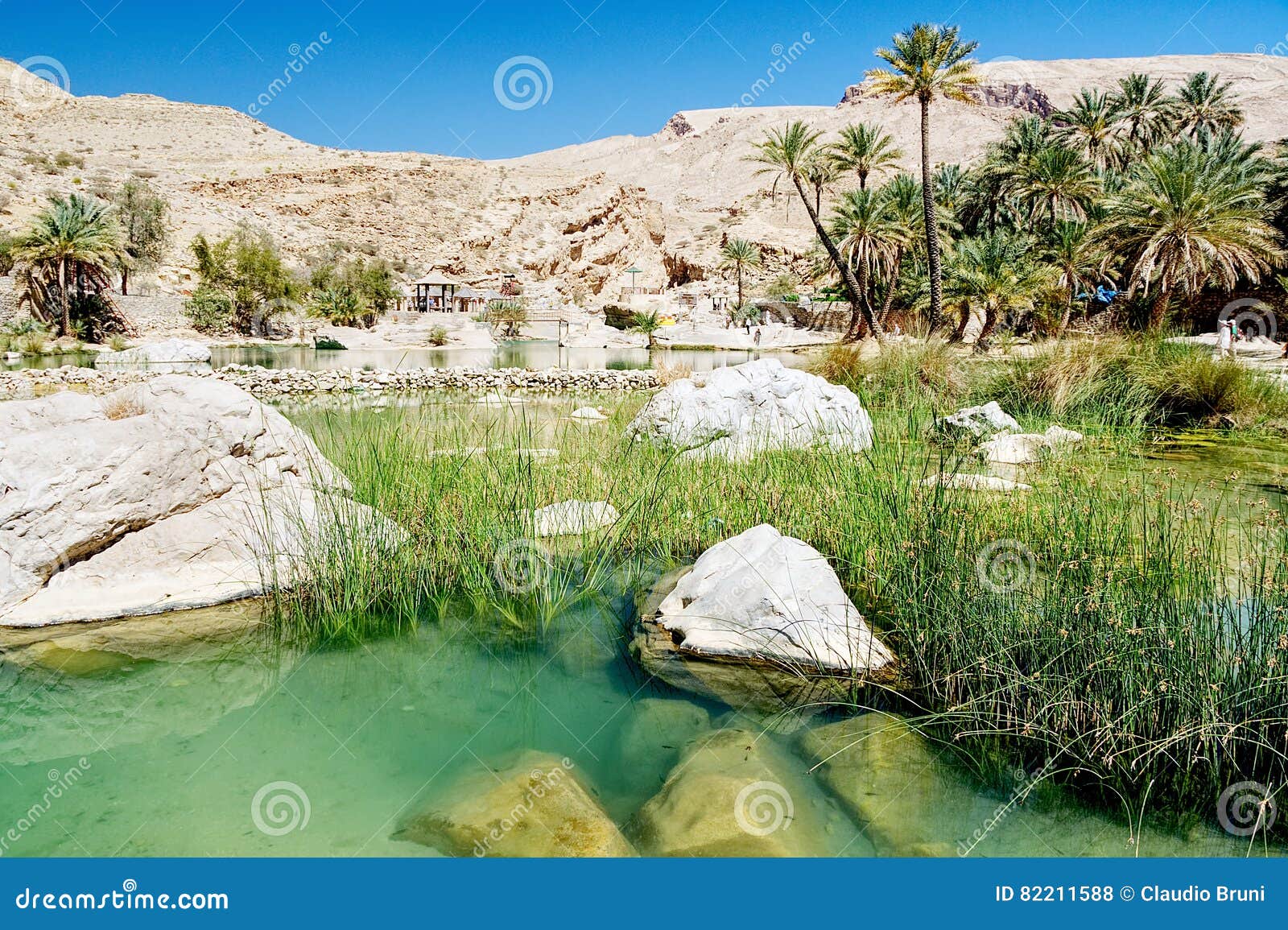 Lake, River and Grass in the Desert Oasis - Oman Stock Photo - Image of ...