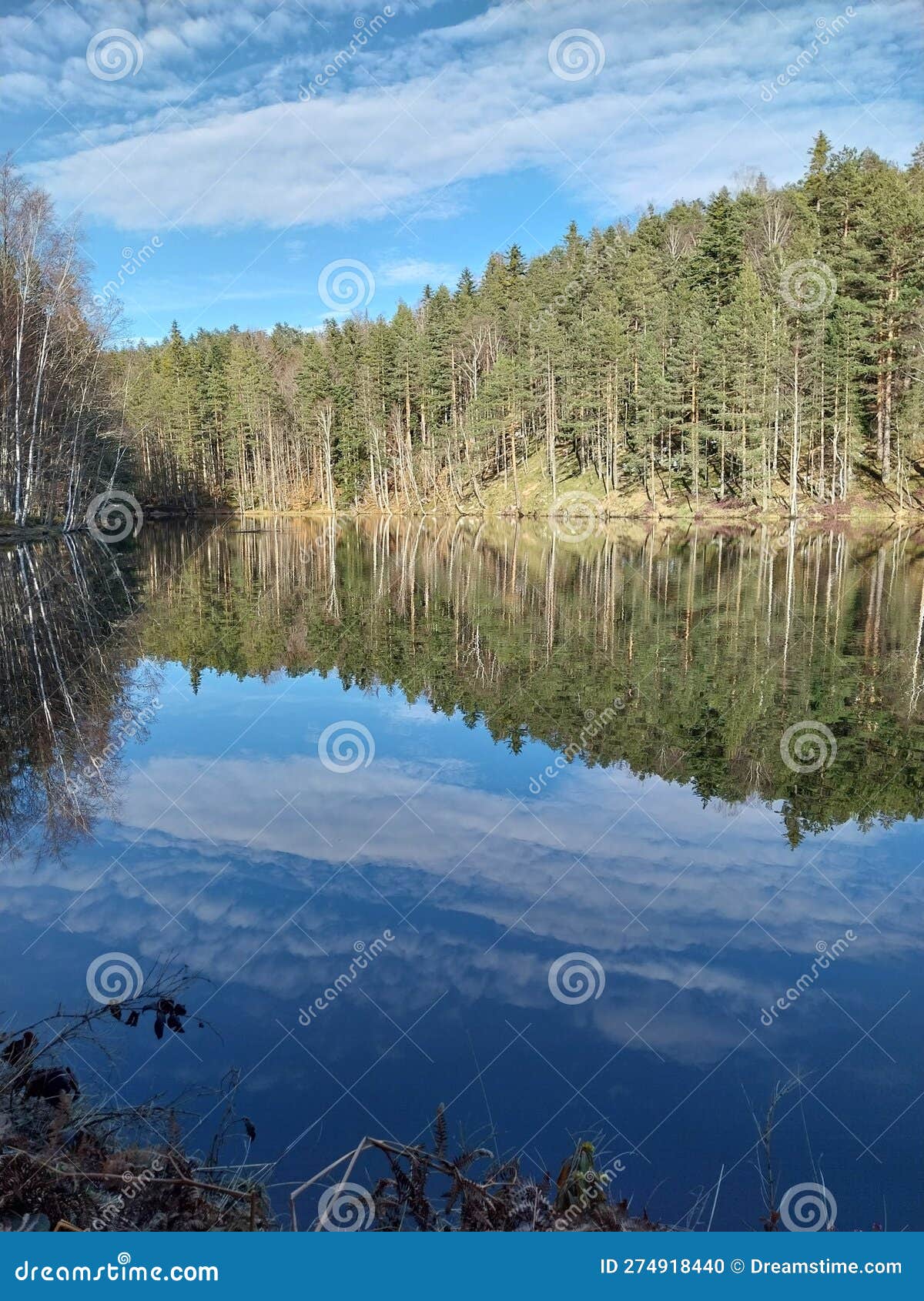 Lake River Sky Trees Reflection Water Forest Sun Sunny Deep Grass ...