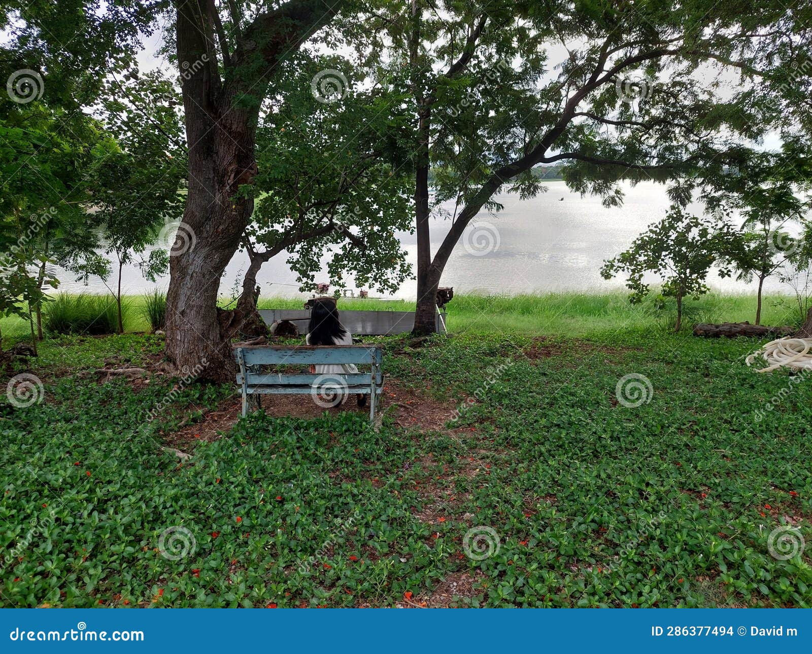 Lake River Sunshine Sunset Park Stock Photo - Image of river, sunshine ...