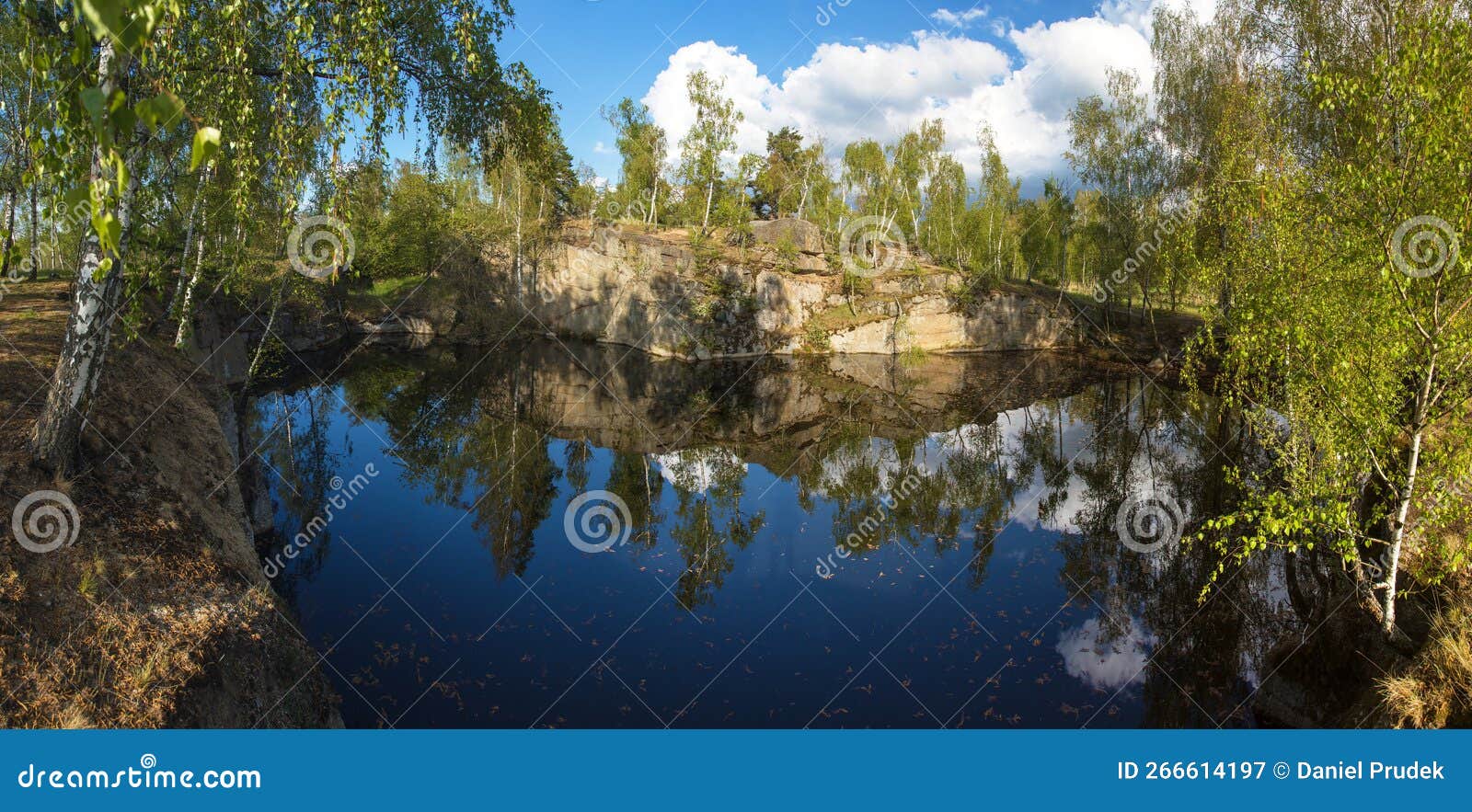 Lake with a Rock Wall and Birch Forest Stock Image - Image of blue ...