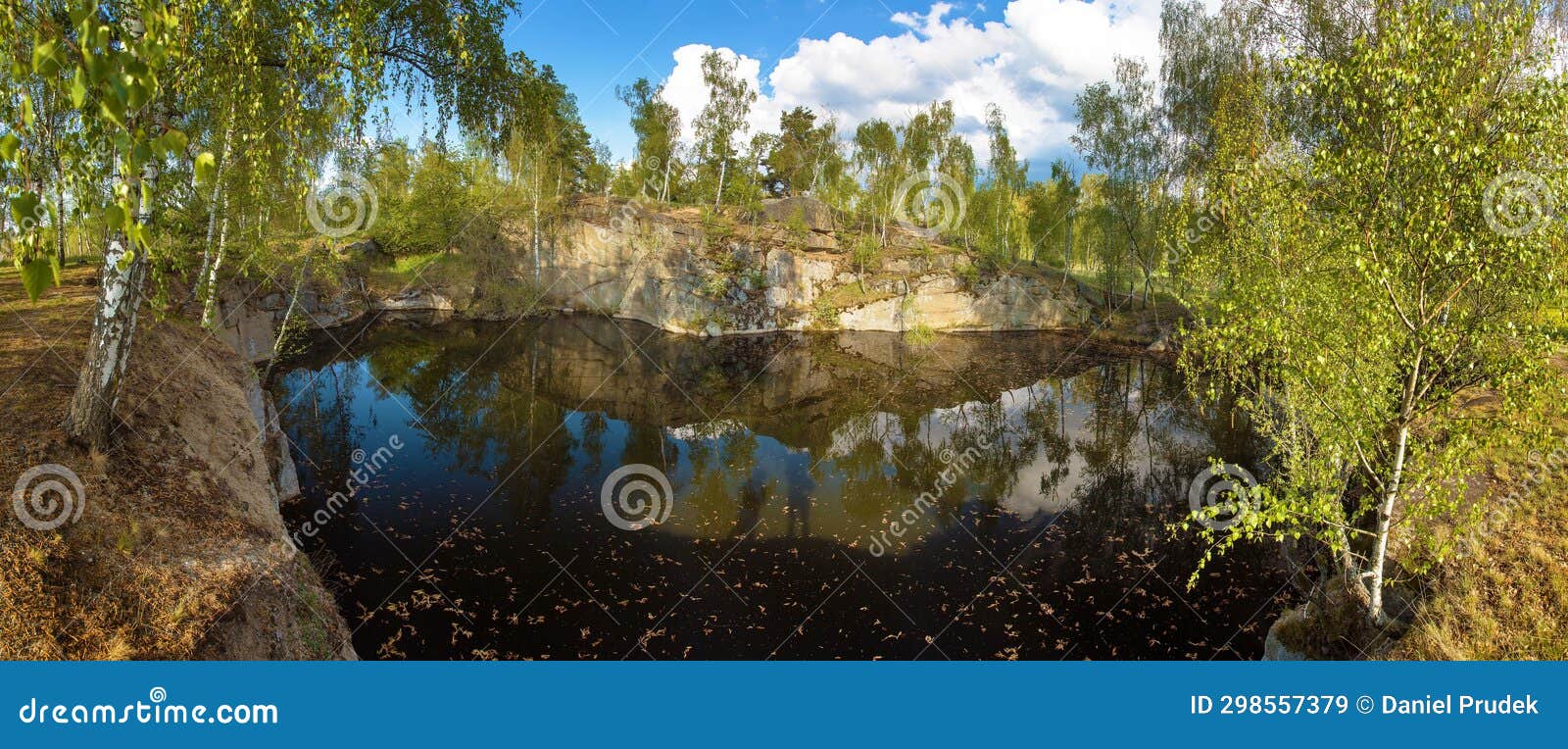 Lake with a Rock Wall and Birch Forest Stock Image - Image of landscape ...