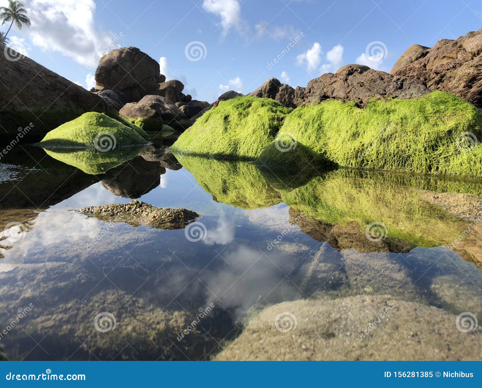 Lake with Rocks with Green Algae Stock Image - Image of clouds ...