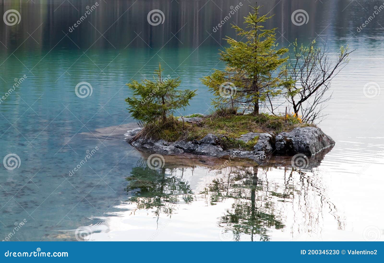 Lake stock photo. Image of rock, idyllic, tree, nature - 200345230