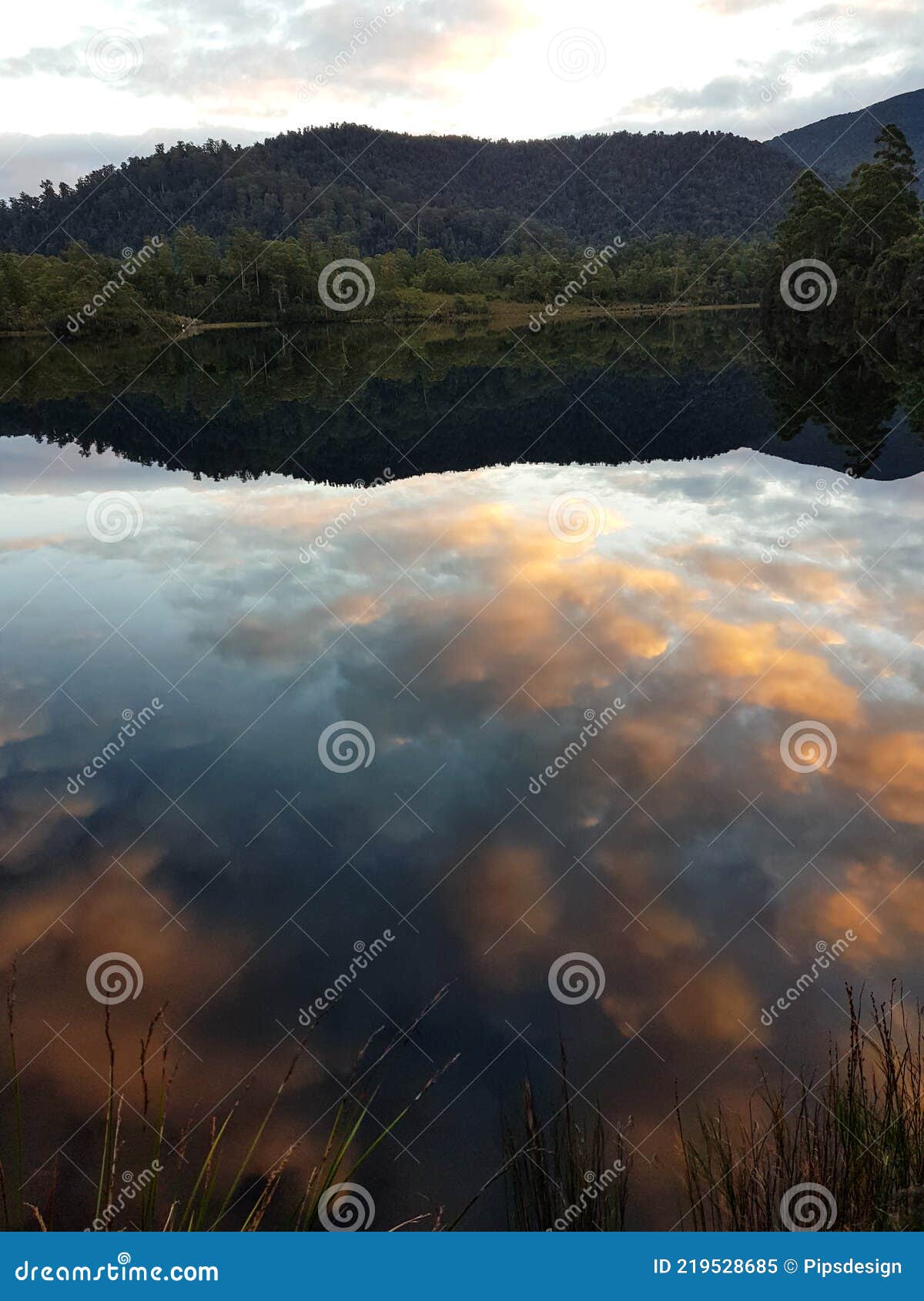 Lake Rosebery West Coast Tasmania Stock Image - Image of grass, sunset ...