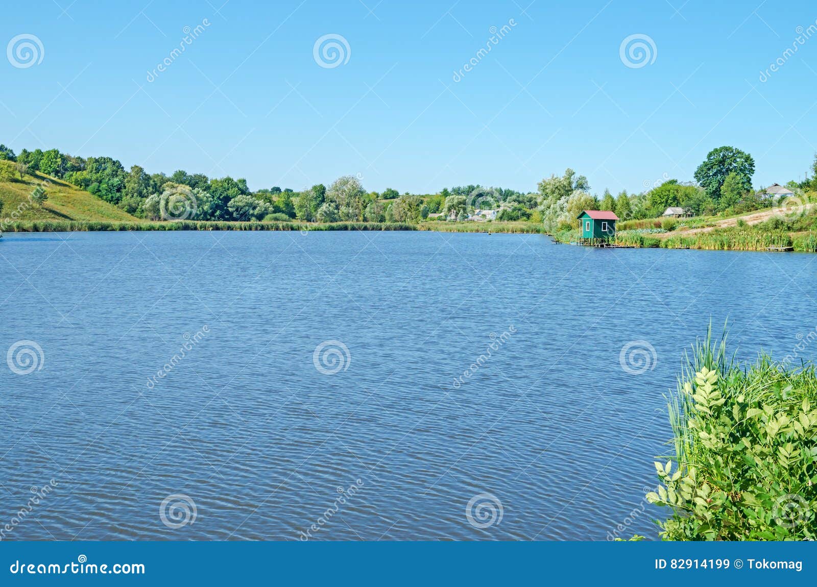 Lake rural stock image. Image of green, nonurban, beauty - 82914199