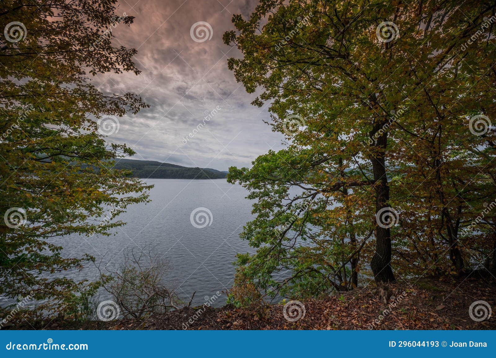 Lake Rursee in the Eifel Nature Park in Western Germany Stock Image ...