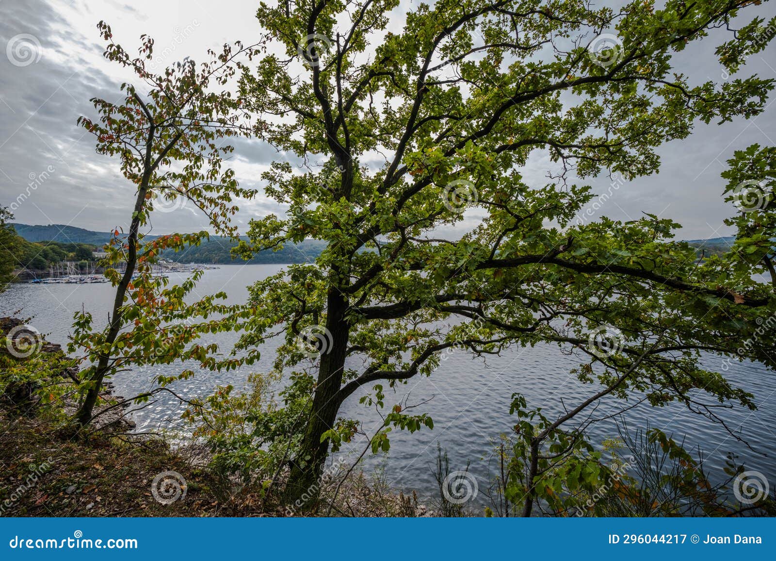 Lake Rursee in the Eifel Nature Park in Western Germany Stock Image ...