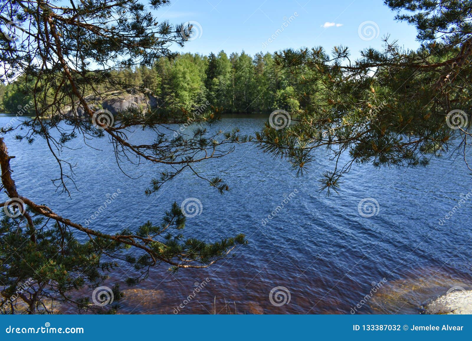 Lake`s View Covered by Trees Stock Photo - Image of plant, lake: 133387032
