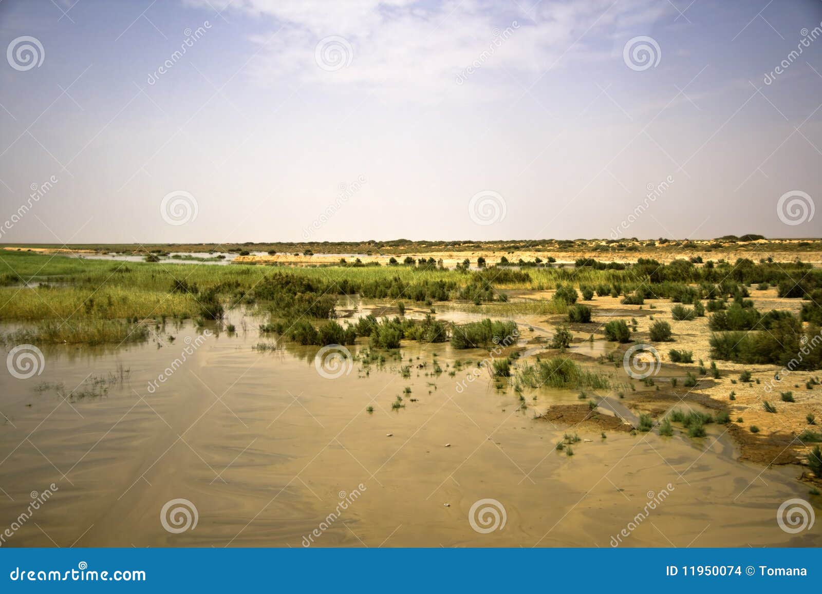 Lake in Sahara desert stock photo. Image of environment - 11950074