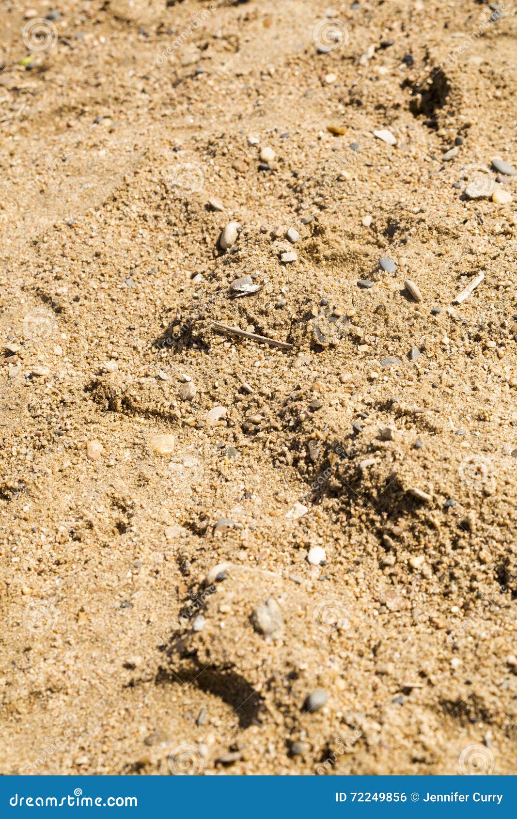 Lake sand stock photo. Image of detail, summer, nature - 72249856