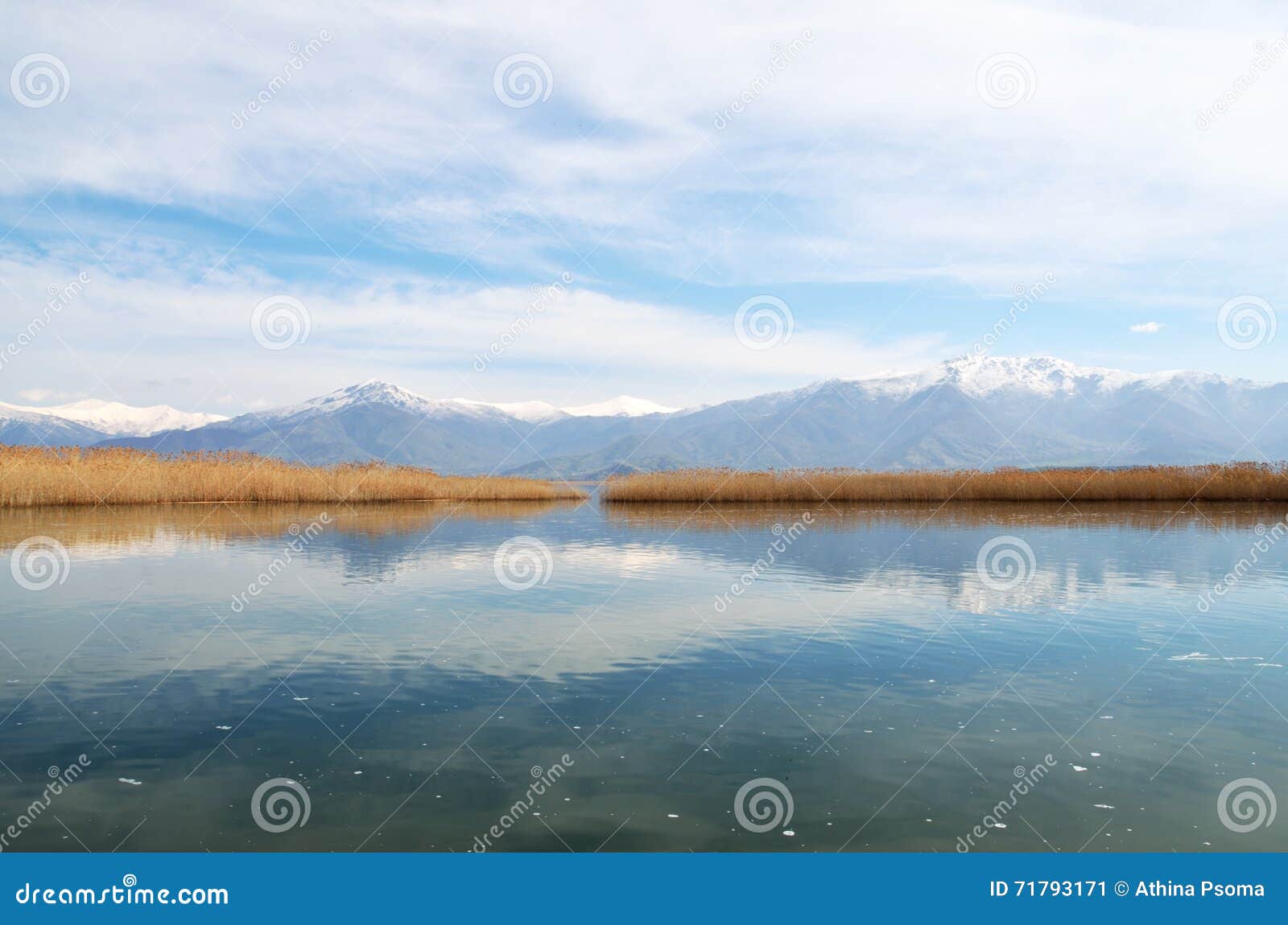 Lake Scape in Lesser Prespa Lake, Greece Stock Image - Image of water ...