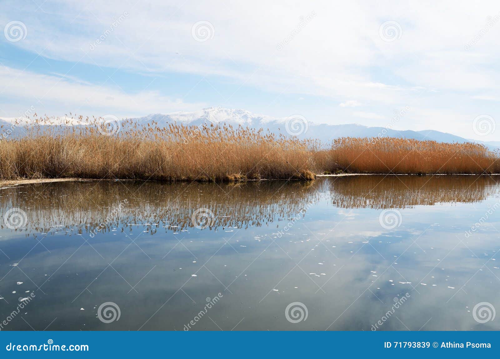 Lake Scape in Lesser Prespa Lake, Greece Stock Image - Image of ...