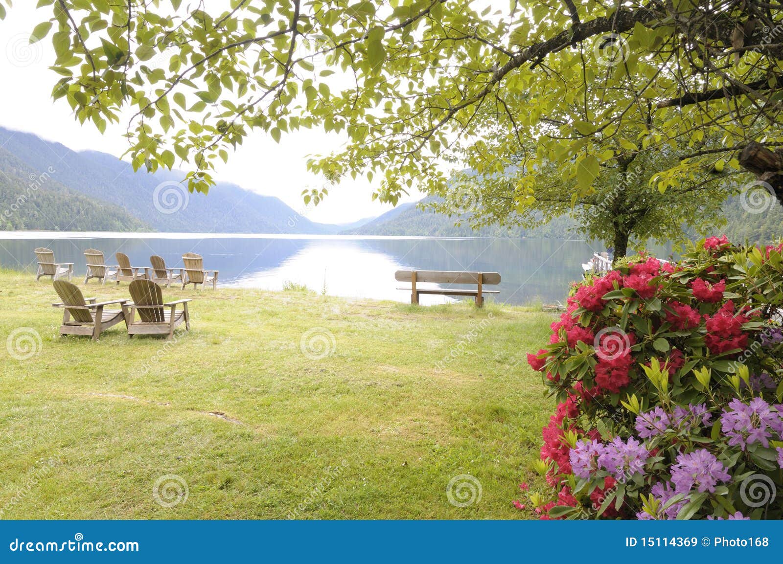 Lake scene stock image. Image of outdoor, summer, sunny - 15114369