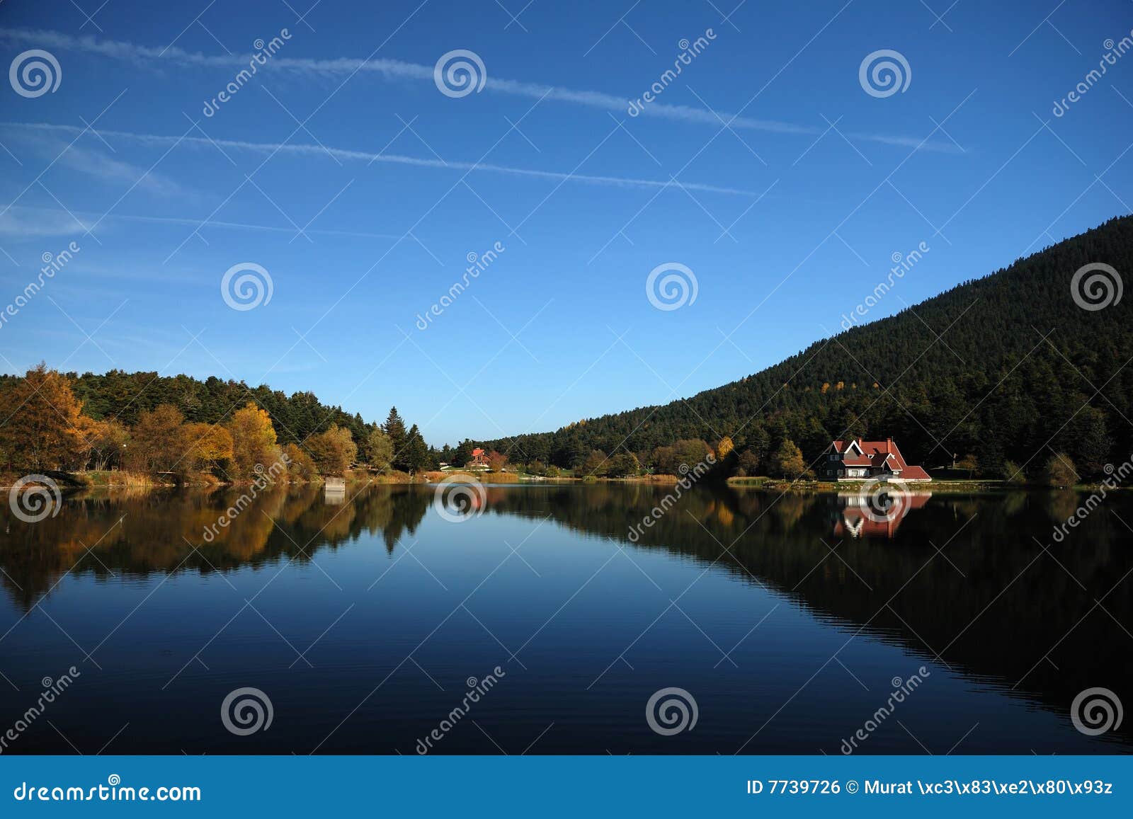 Lake Scene in Autumn stock photo. Image of bridge, gold - 7739726