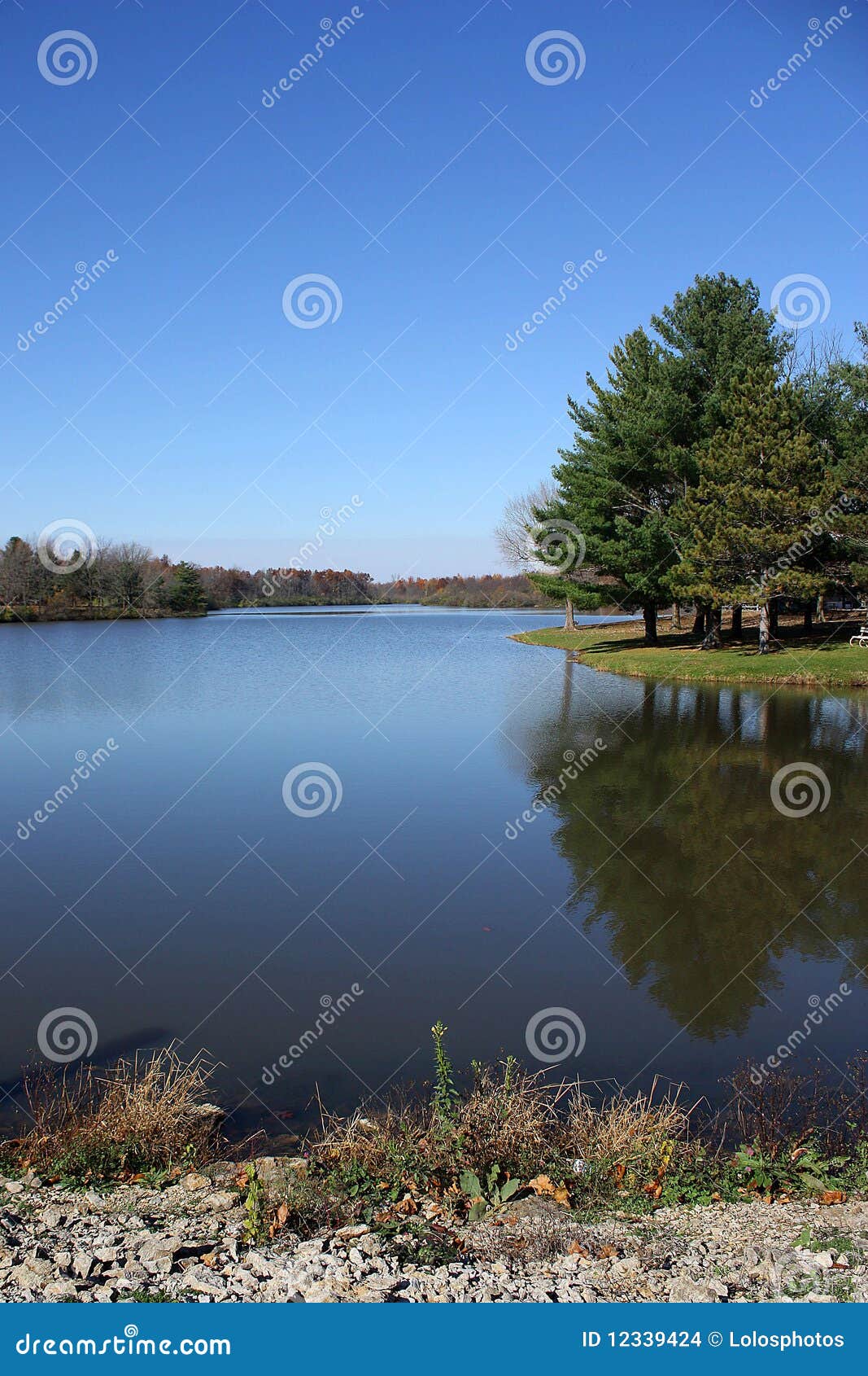 Lake scene with reflection stock photo. Image of nature - 12339424