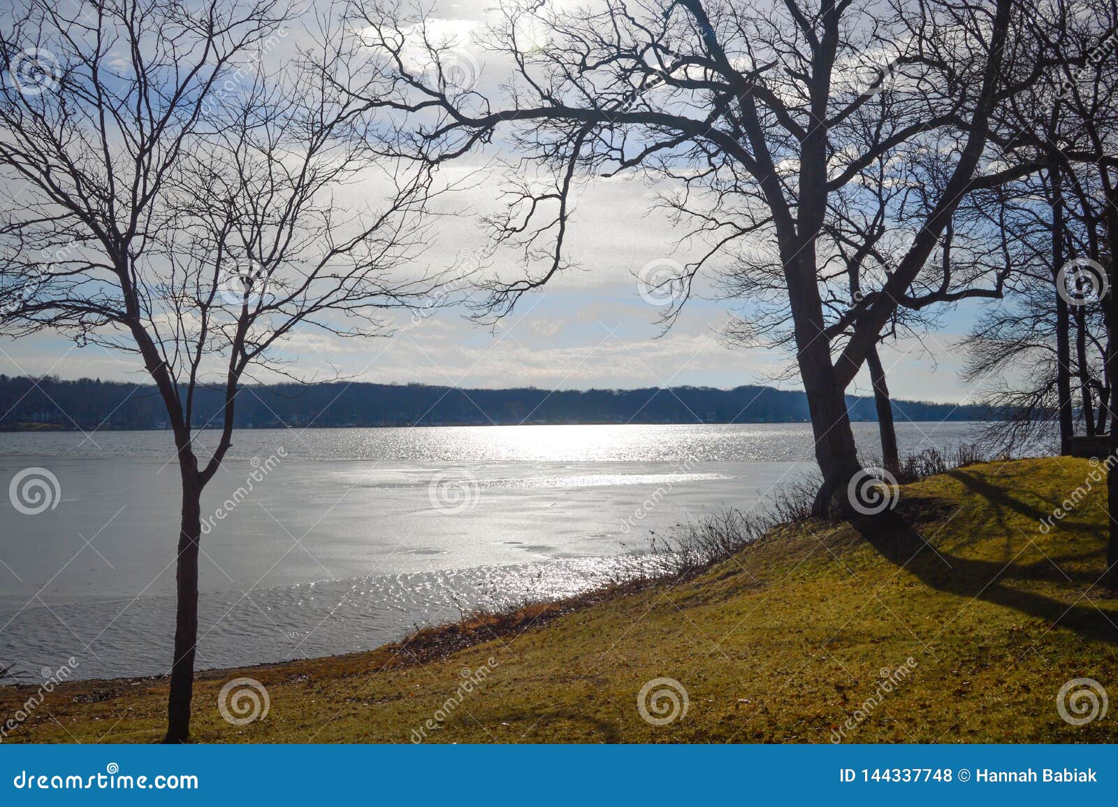 Lake Scene with Trees and Shimmering Sun Stock Photo - Image of ...