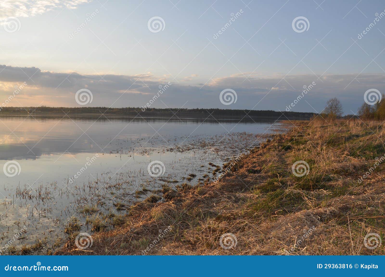 Lake Seliger stock photo. Image of grassy, russia, water - 29363816