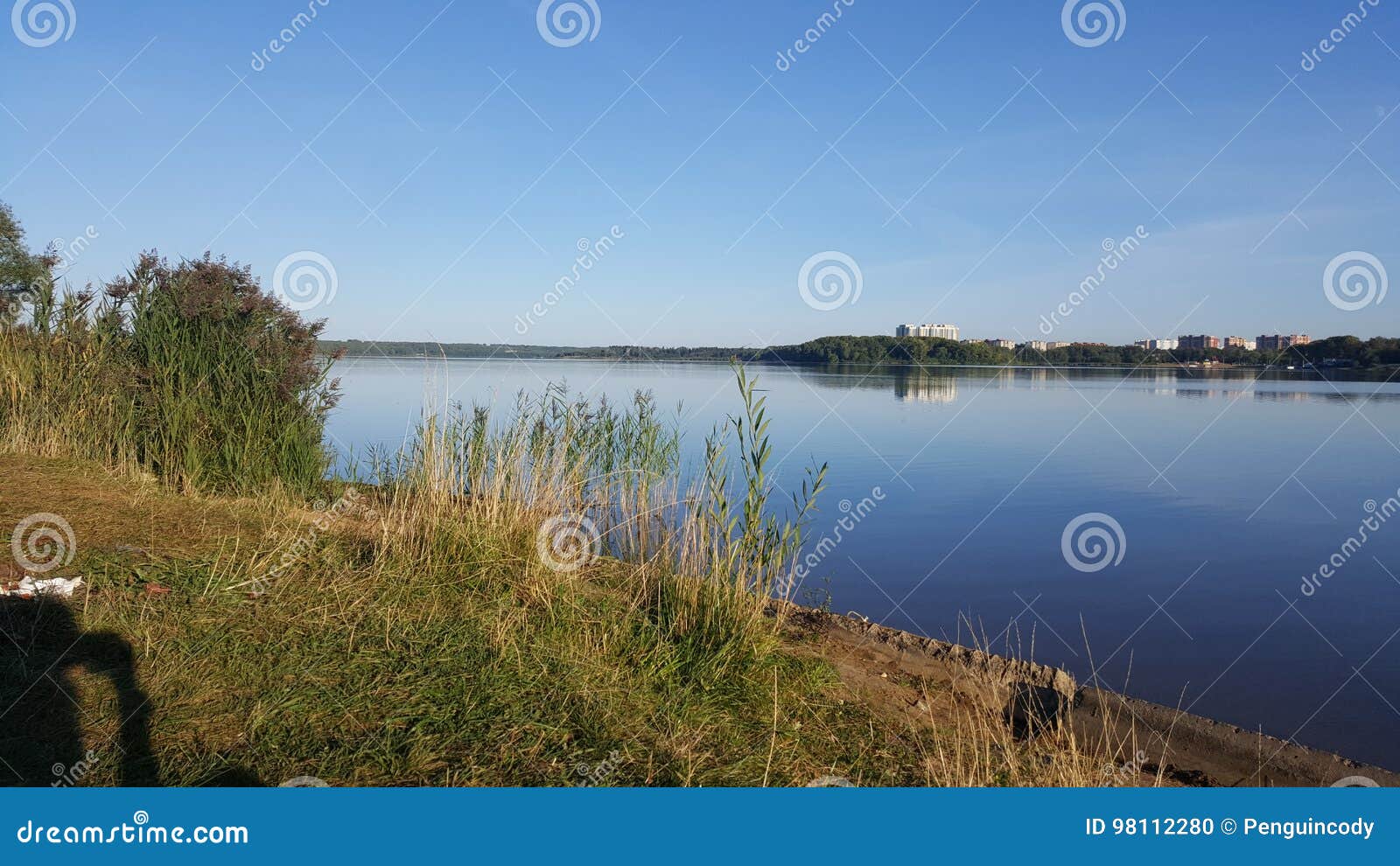 Lake stock photo. Image of russia, senezh, lake, nature - 98112280