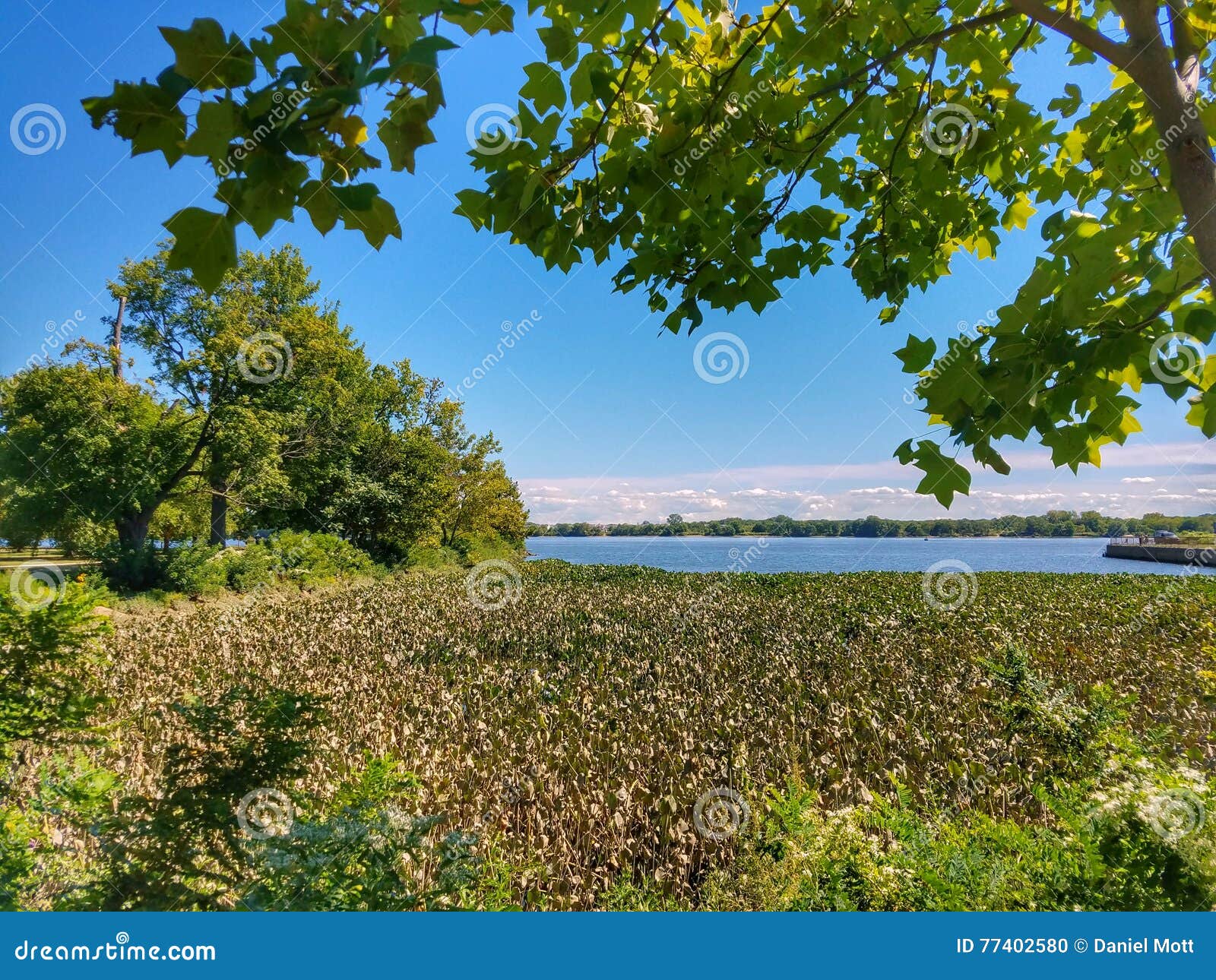 Lake setting stock photo. Image of waterfront, setting - 77402580