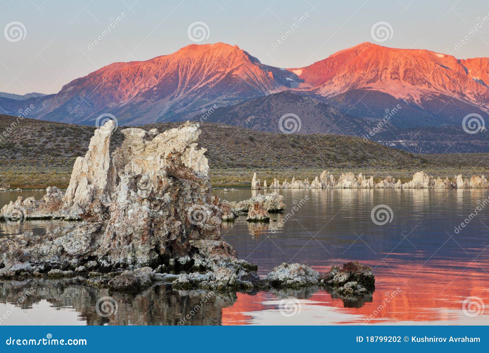 Lake Shallow, in it Set of Reeves of the Tufa Stock Photo - Image of ...