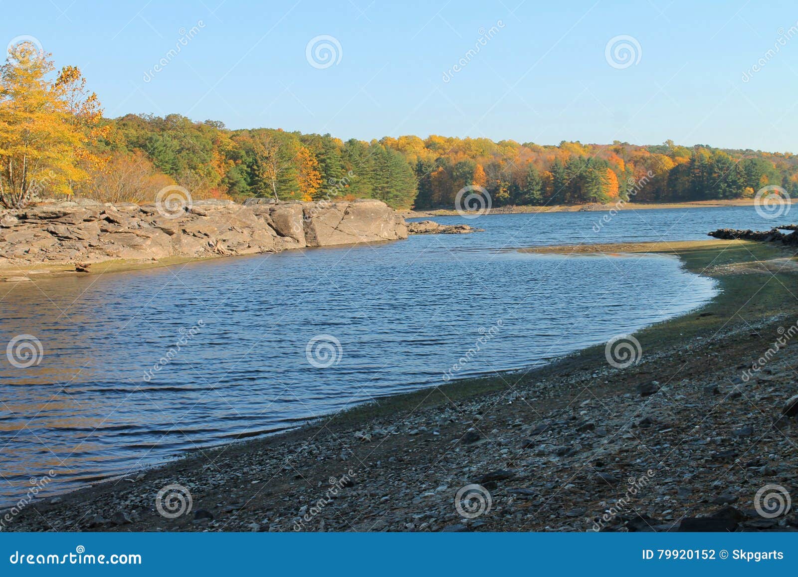 Lake Shore in Fall stock photo. Image of lake, green - 79920152