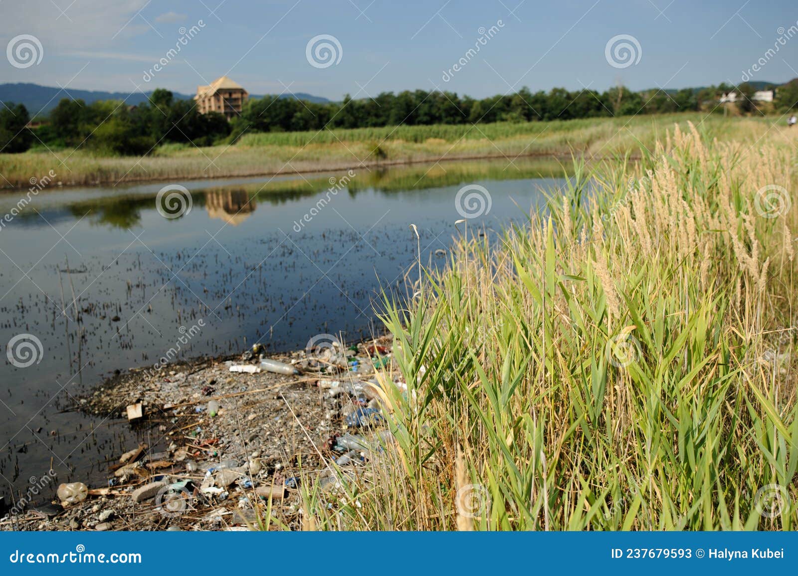 The Lake and the Shore are Littered with Garbage Stock Image - Image of ...