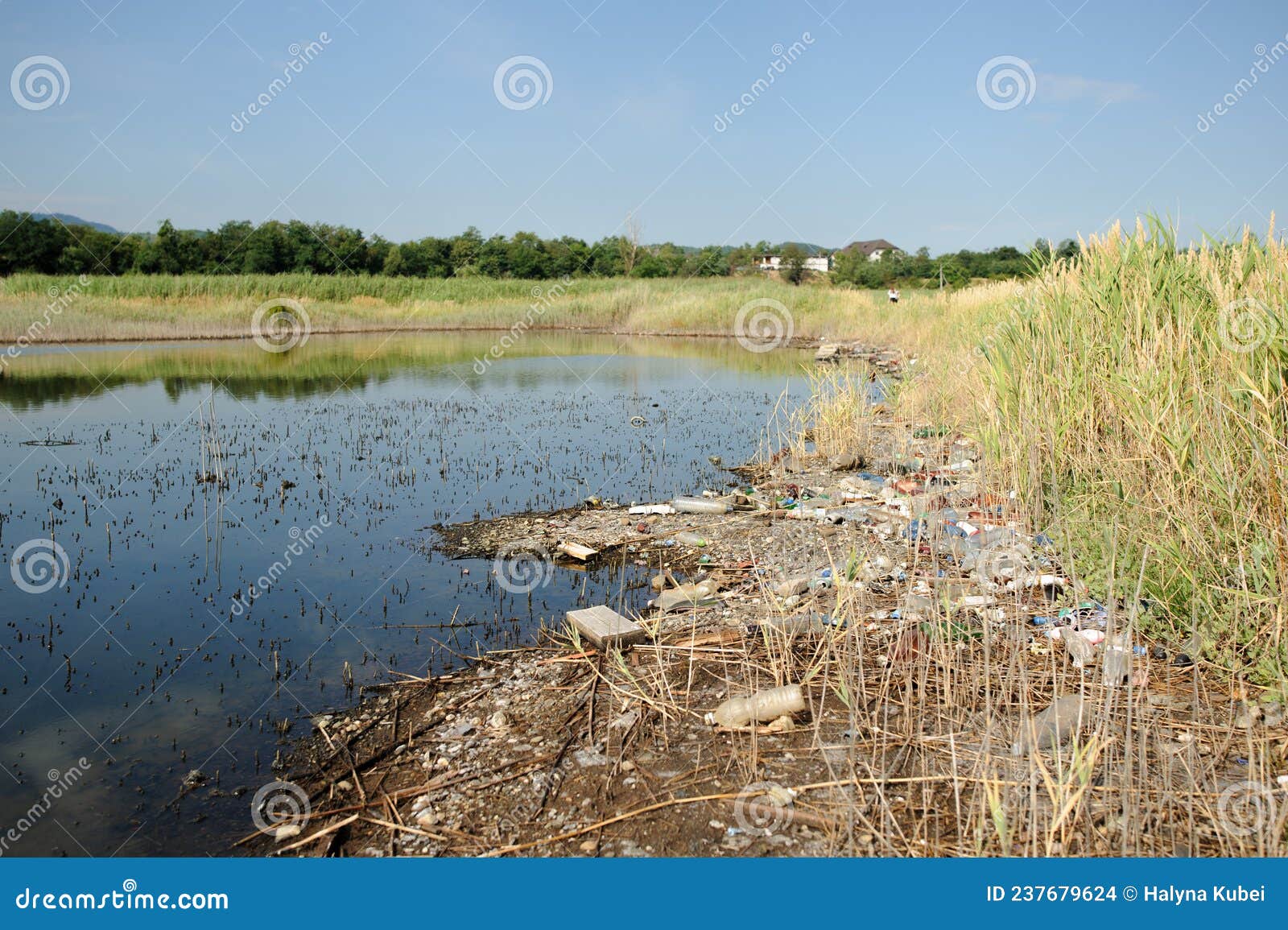 The Lake and the Shore are Littered with Garbage Stock Photo - Image of ...