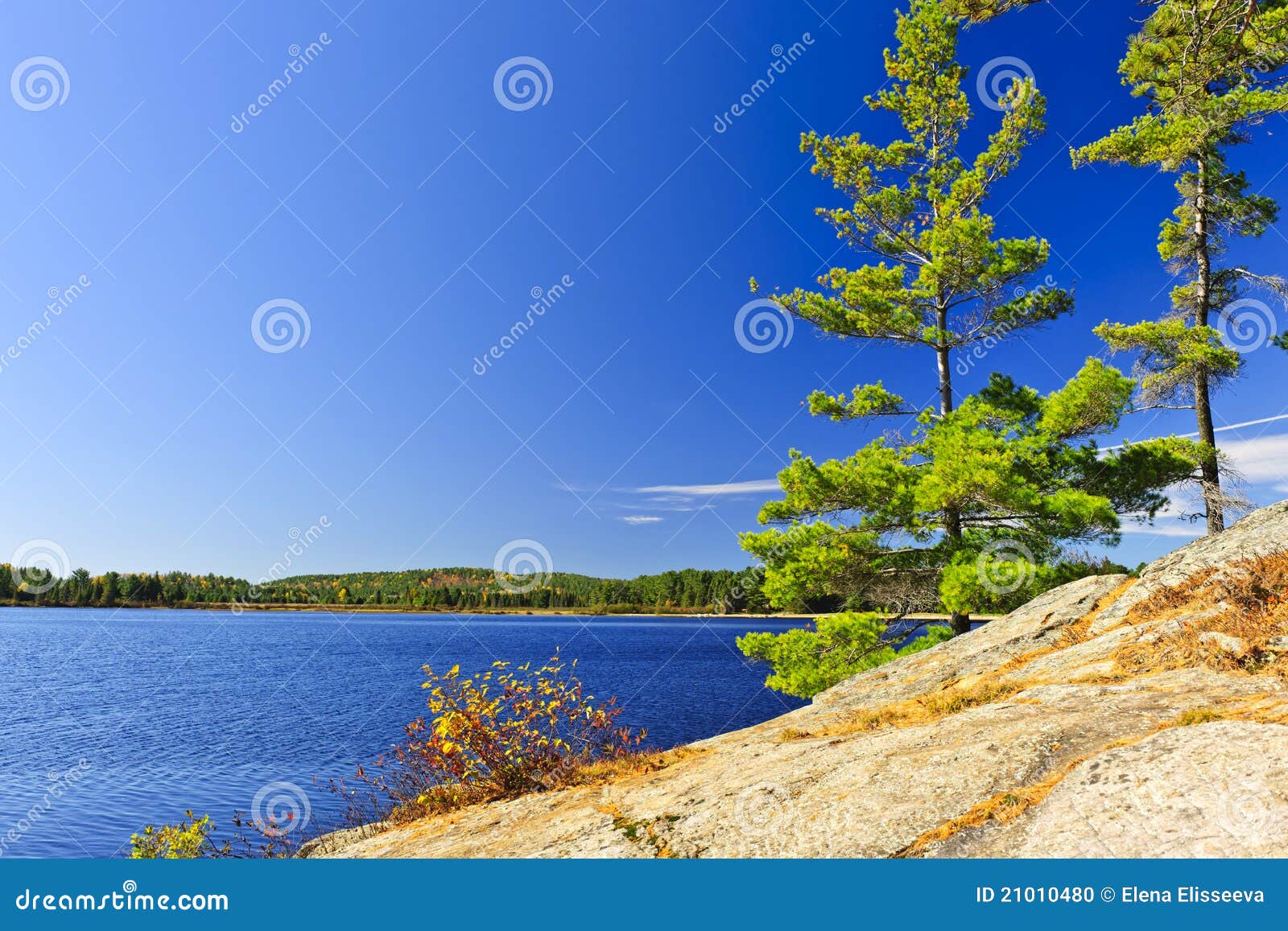 Lake Shore in Ontario, Canada Stock Photo - Image of rivers, shore ...