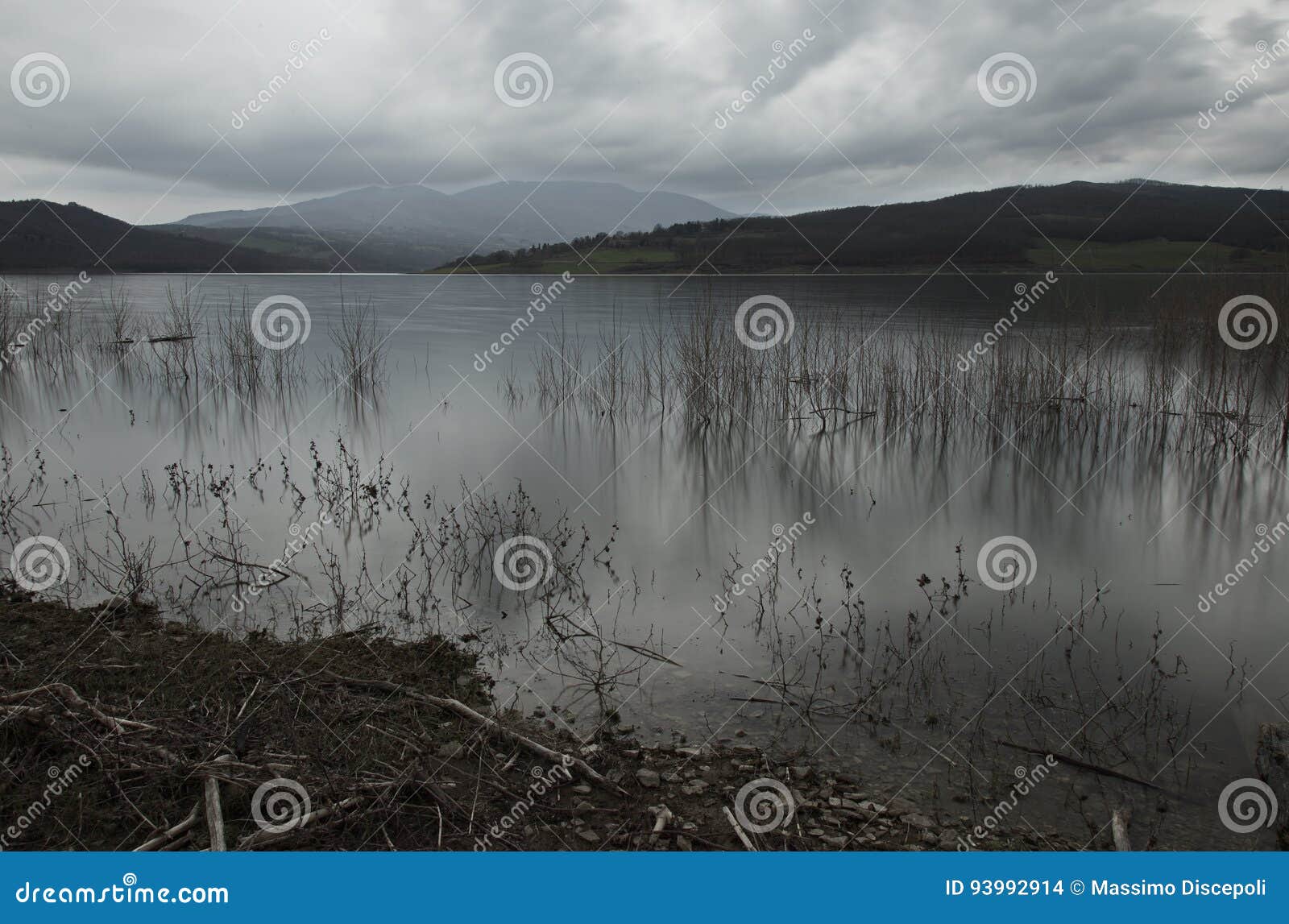 Lake shore stock photo. Image of gray, misty, calm, long - 93992914
