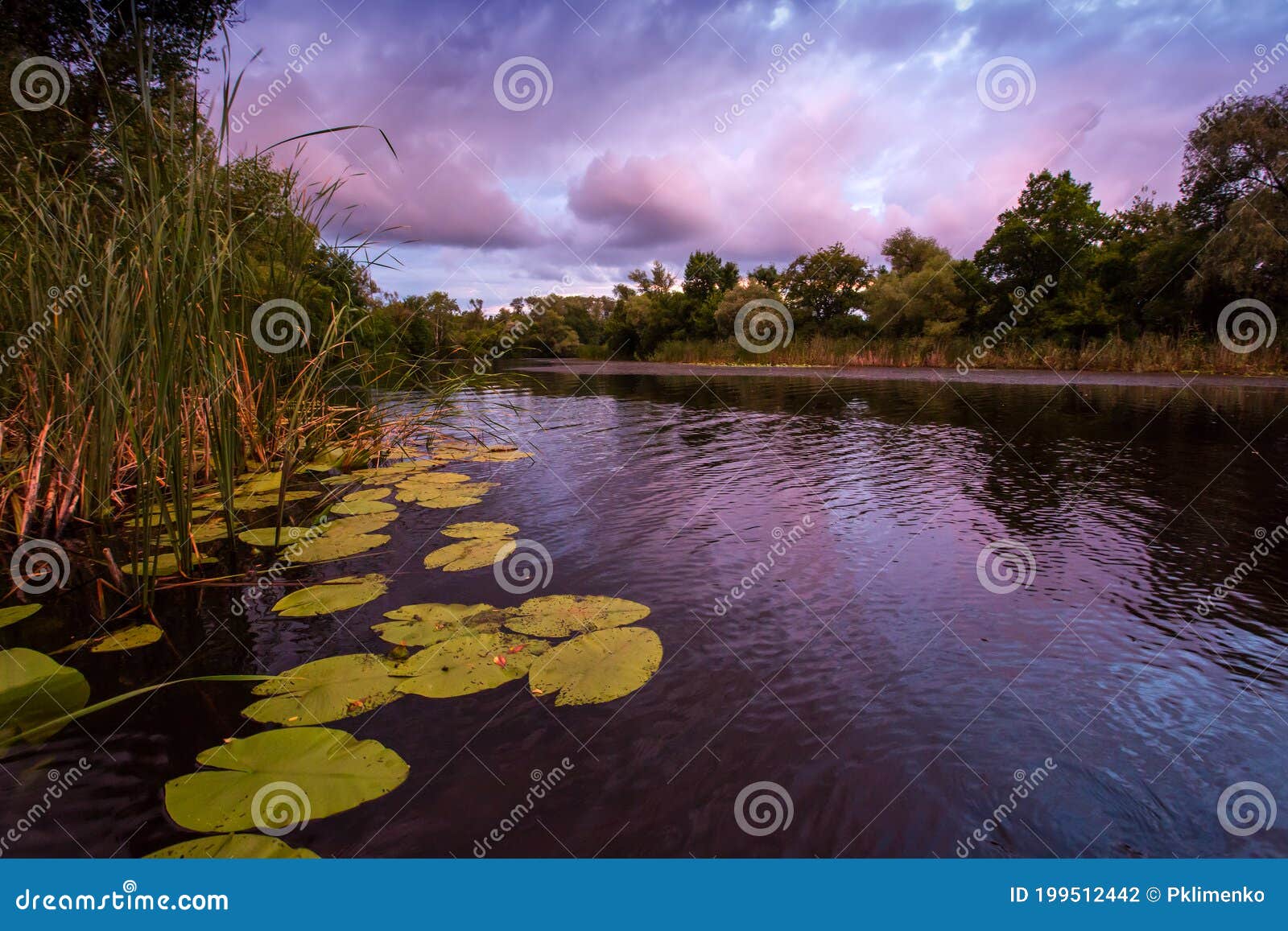 Lake Shore on Sunset Sky Background Stock Photo - Image of cloud, light ...