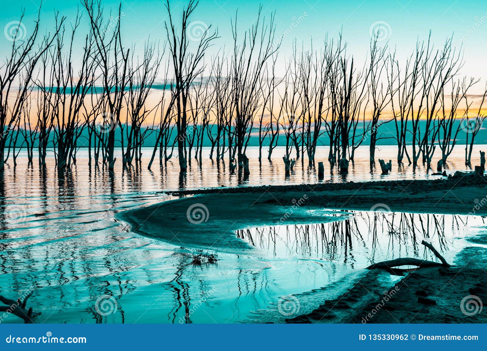 Lake Shore on a Sunset with Trees Stock Photo - Image of river, lagoon ...
